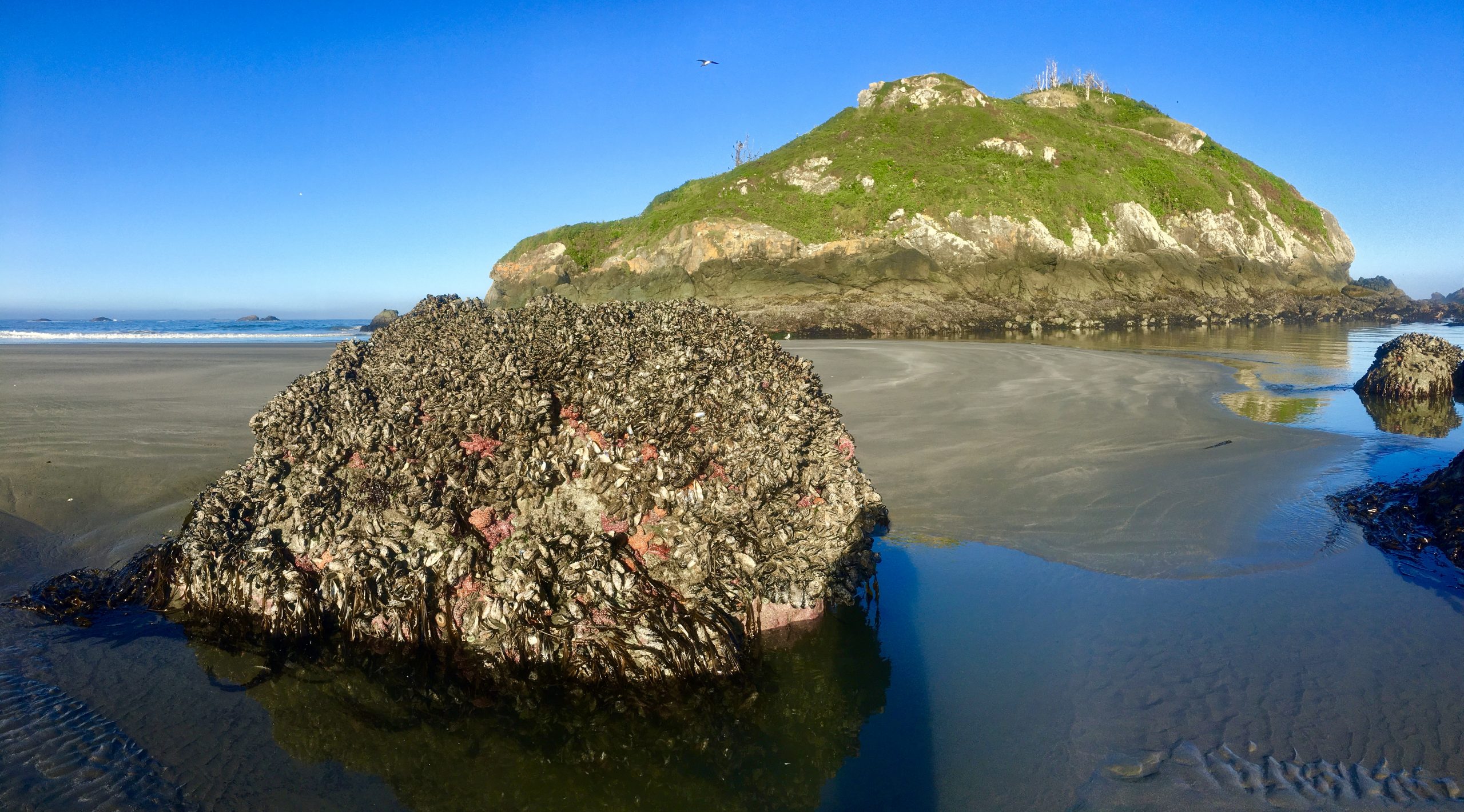 Tolowa Dee-ni’ Nation - Tribal Marine Stewards Network