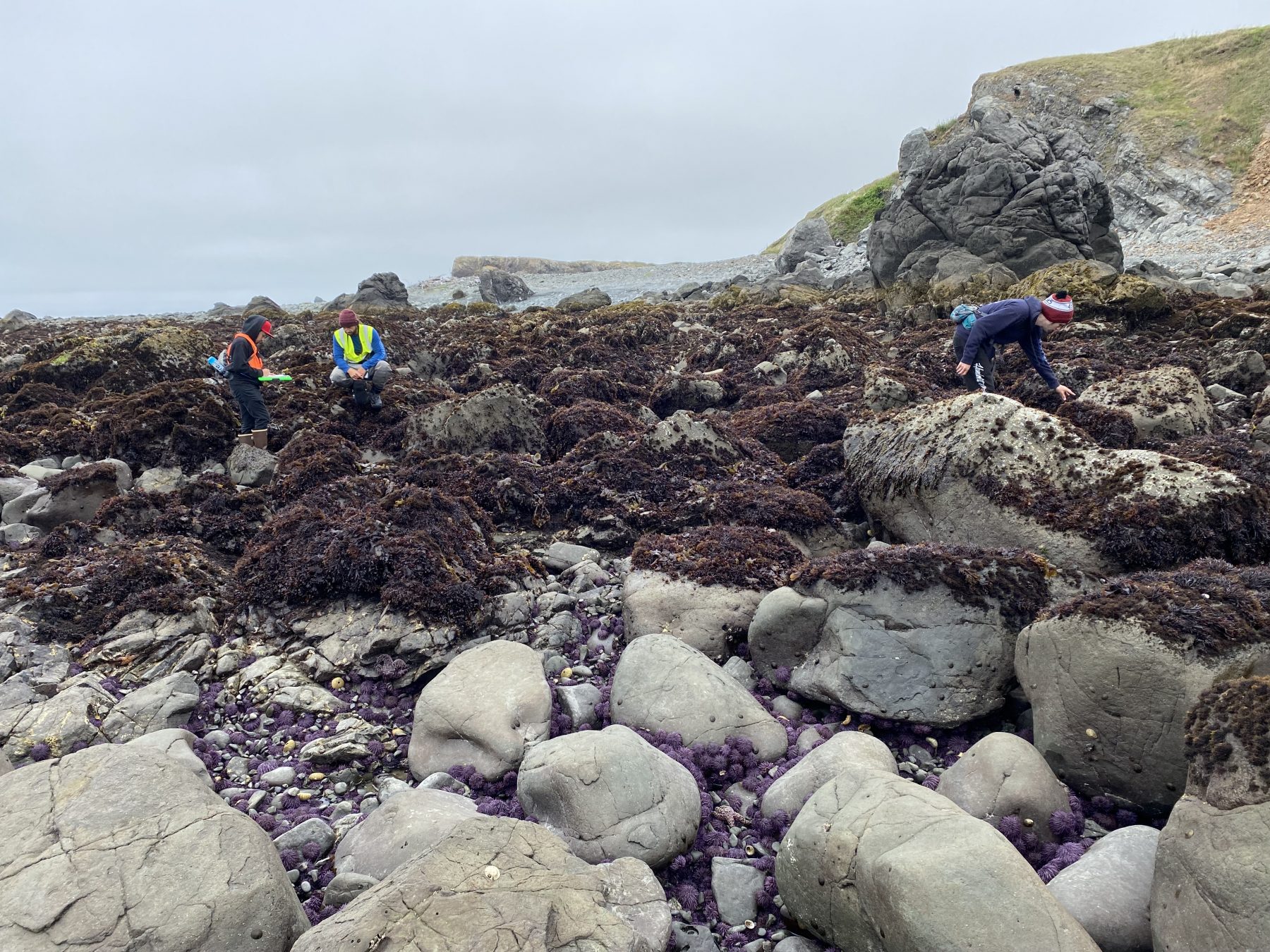 Tolowa Dee-ni’ Nation - Tribal Marine Stewards Network