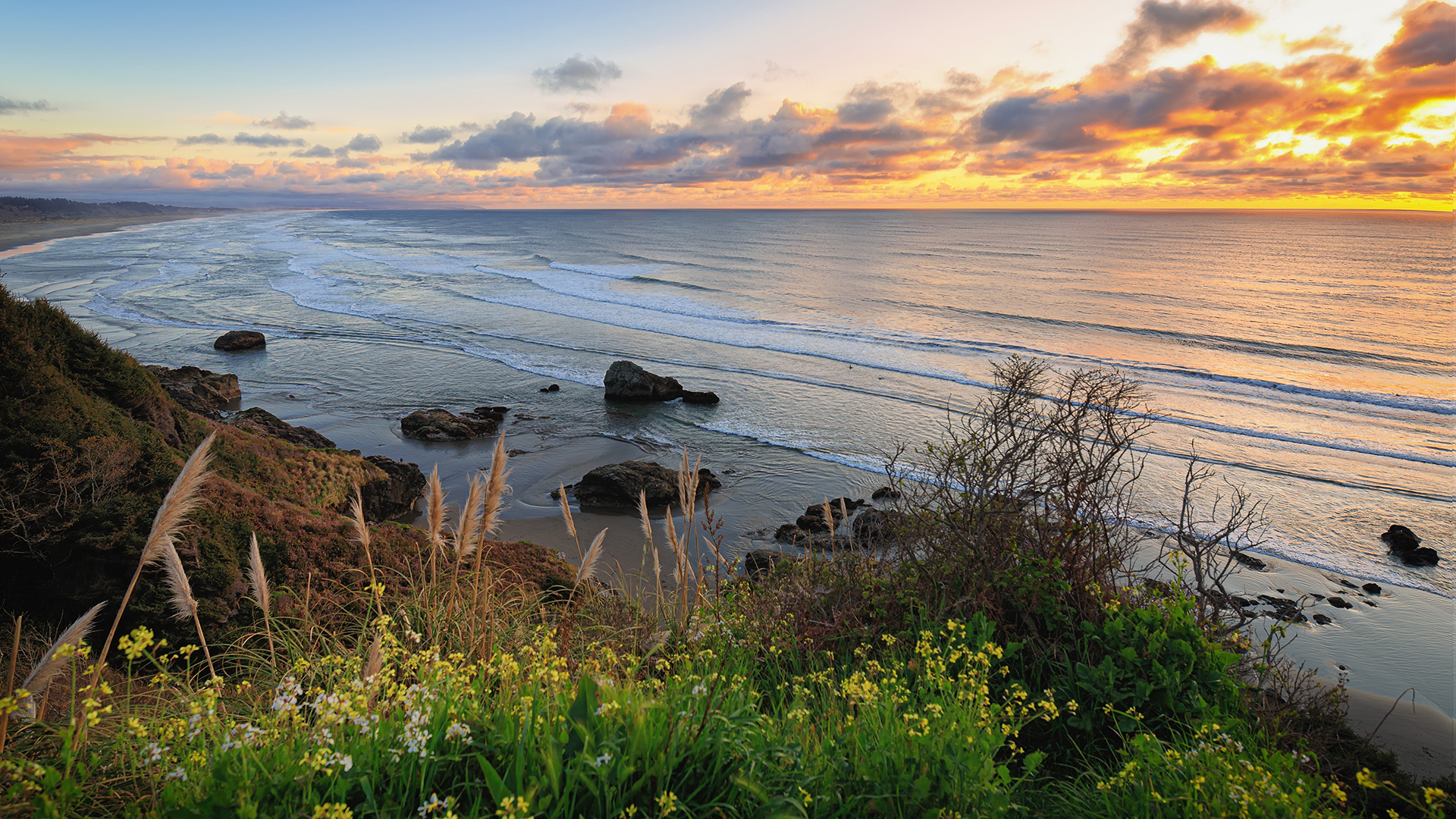 Get Involved - Tribal Marine Stewards Network